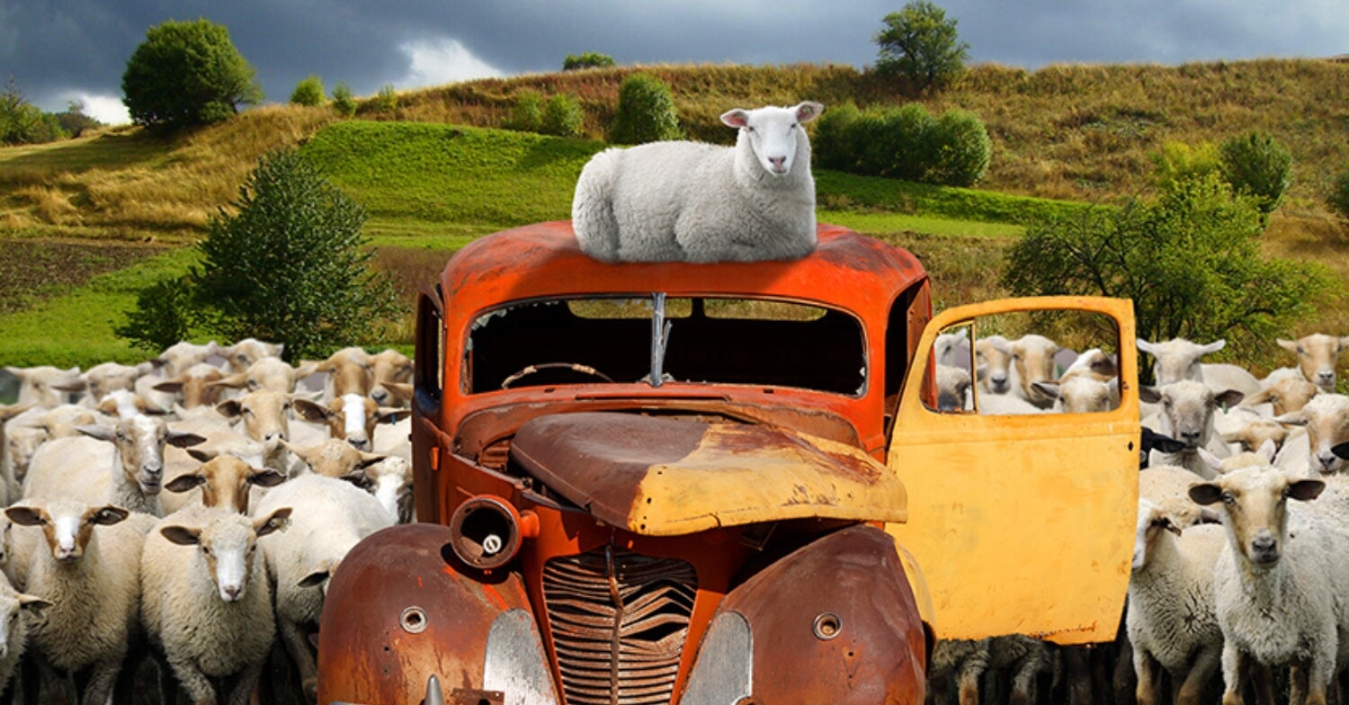 Fluid Film | Liquid A | 5 Liter - Reginol Trading AS